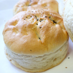 Byron Bay Hot Bread Bakery